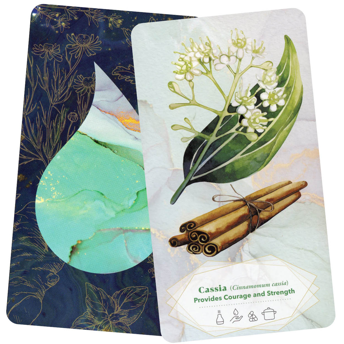 Essential Oil Oracle Deck – Hocus Pocus Pgh